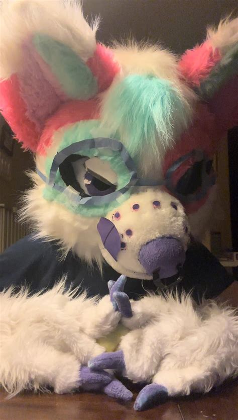 Warning Shell Bite If You Take Her Ball Scrolller