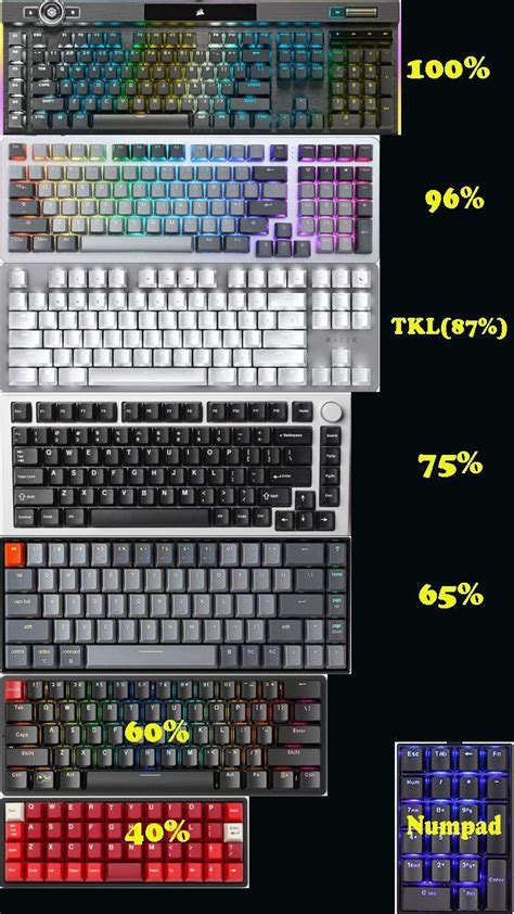 Keyboard Sizes And Layouts The Ultimate Guide Artofit