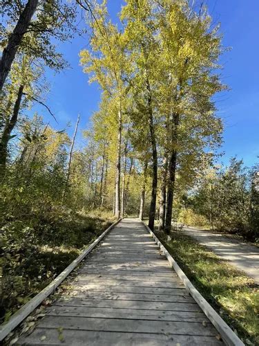 Best River Trails In Devon Voyageur Park Alltrails