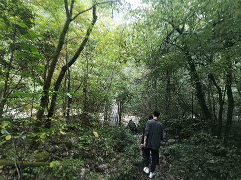 细品数据结构之bitmap 知乎