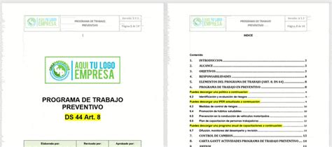 Formatos Plan Anual De Prevencion De Riesgos 2026 Ds 44 Programa De