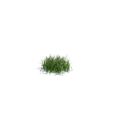 Simple Grass Small V1 3d Model Download Grass On Simple Grass Small V1 3d Model Download Grass On