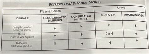 Hemoglobin Derivatives Flashcards Quizlet