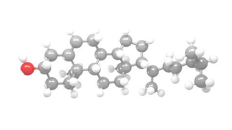 Modelo 3d Colesterol Estructura Molecular C27h46o Turbosquid 1752729