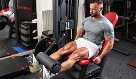 Los 10 Mejores Ejercicios Para Piernas Evophysique