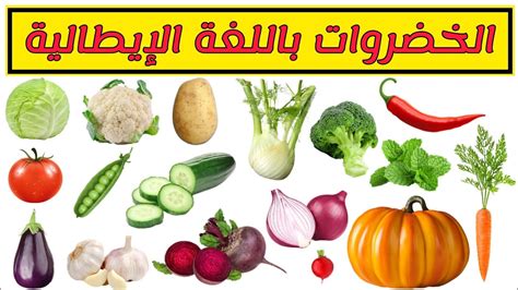 تعلم أسماء الخضروات Le Verdure و كيف تنطق باللغة الإيطالية Youtube