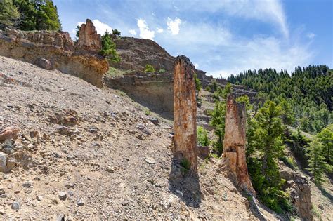 Fossils Yellowstone National Park At Maddison Cadman Blog
