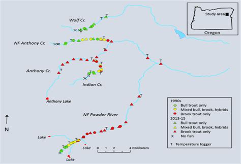 Bull Trout And Brook Trout Distribution In Wolf And Anthony Creeks And Download Scientific