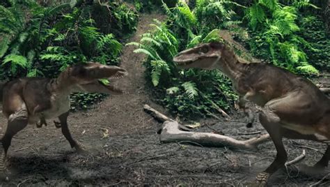 Dinosaur Revolution T Rex Chicks By Dracotyrannus On Deviantart