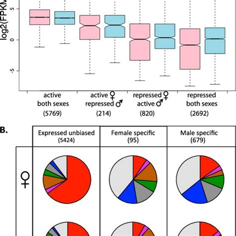 Sex Specific Chromatin States And Gene Expression In D Miranda A