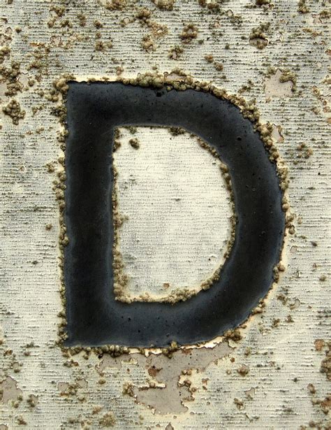 D Letter Photography Alphabet Photography Lettering Alphabet