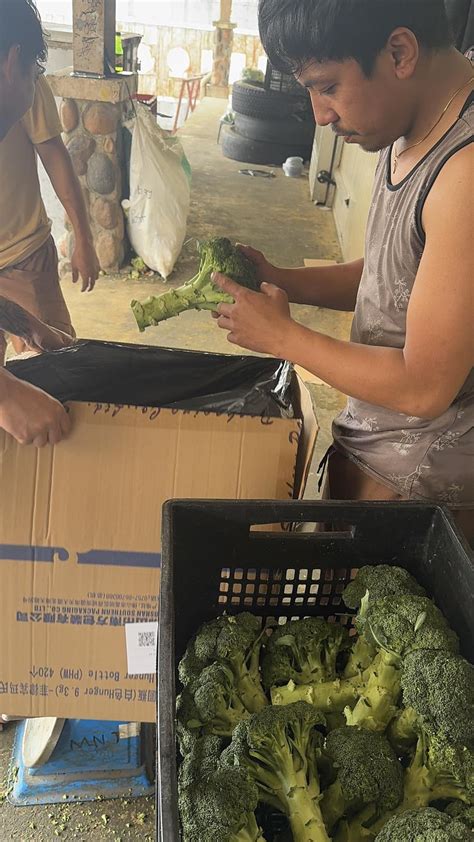 Da Hvcdp Undersecretary Visits Baptc High Value Crops Development Program Department Of