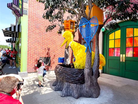 Small Talk With Big Bird