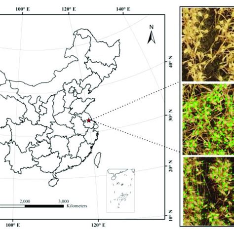 Experimental Site And Uav Wheat Spike Images A Clear Image B
