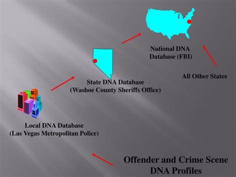 Ppt Stephen Gresko Senior Criminalist Nevada State Codis Administrator Powerpoint Presentation