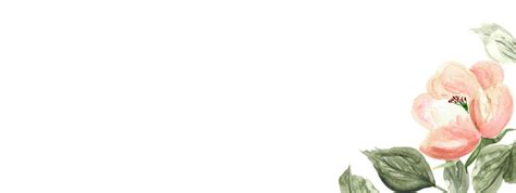 Sally Levine And Zach Leffs Wedding Website The Knot