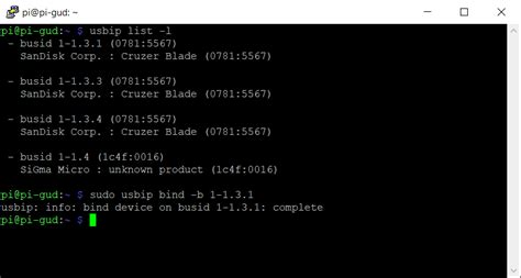[plugin] usb manager plugin support unraid