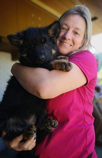 Abgabe Der Welpen Chodský Pes Vom Meieriesli