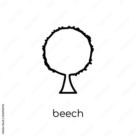 Beech Symbol