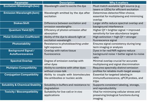 Fluorescent Dyes Spectra Types And Applications