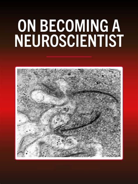 10 20 Measurement System On Becoming A Neuroscientist