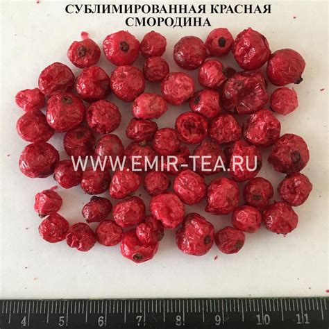 đánh baccarat online[aiearn.vn]