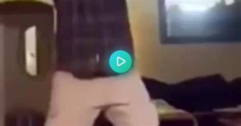 Dumpis Lazuli Album On Imgur