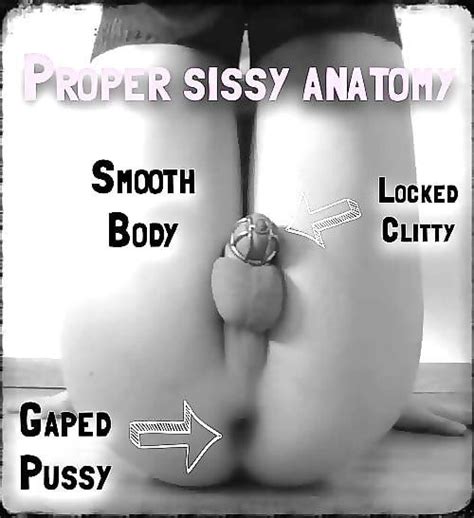 Foto De Proper Sissy Anatomy