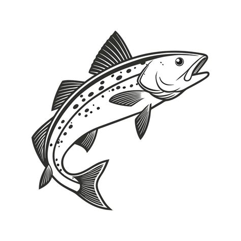 Arctic Cod On White Background 58115129 Vector Art At Vecteezy