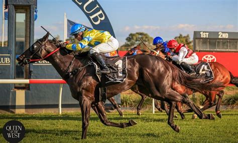 Leeshelle Small 🐴 Leeshelle Small Nz • Instagram Photos And Videos