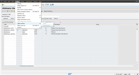 Abap Create Entries Option Is Disabled In Se11 Why Stack Overflow