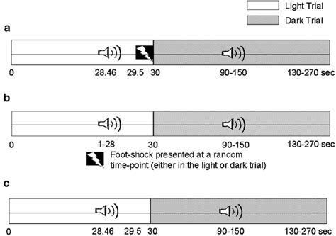 Schematic Description Of Stimulus Presentation During Trial By Trial Download Scientific