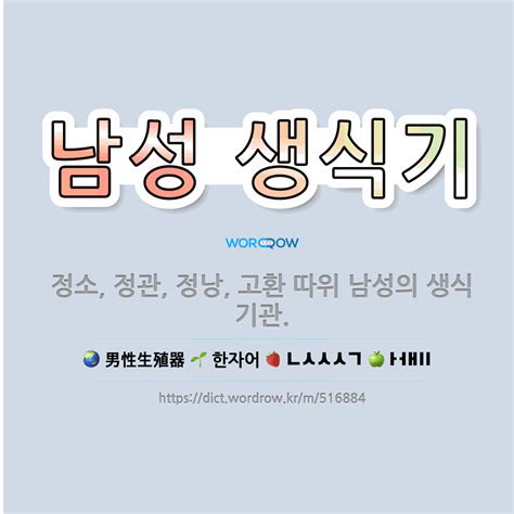 🌟남성 생식기 정소 정관 정낭 고환 따위 남성의 생식 기관 표준국어대사전