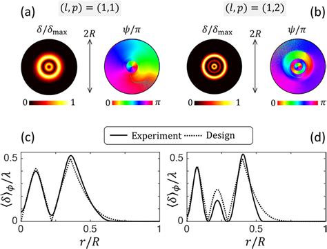 Experimental Structural Characterization Of The Modal Vortex Shapers