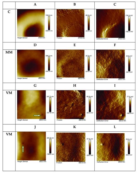 The Topography And Property Maps Friction And Deflection Error For Download Scientific