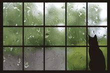 Rain On A Window S Tenor