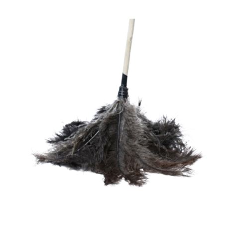 Short Handle Feather Duster Chemzone