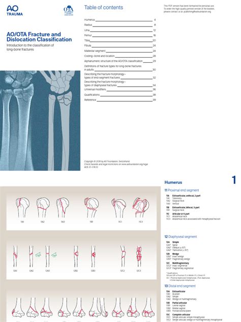 Aoota Classification 2018 Classification Brochure 2107071005 Pdf