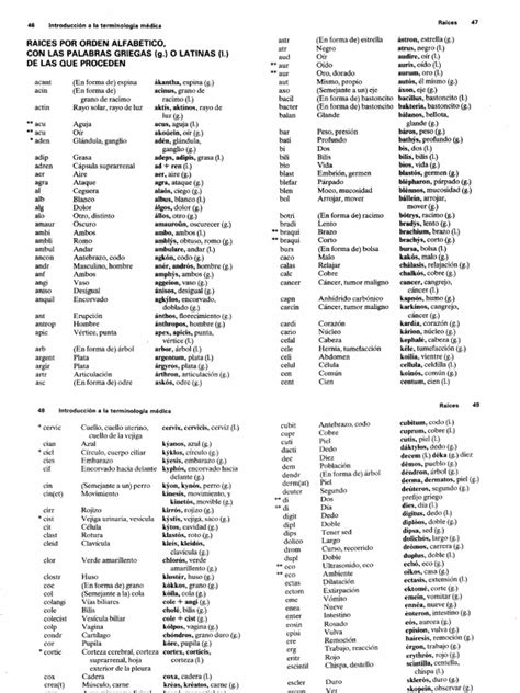Raices Prefijos Sufijos Pdf