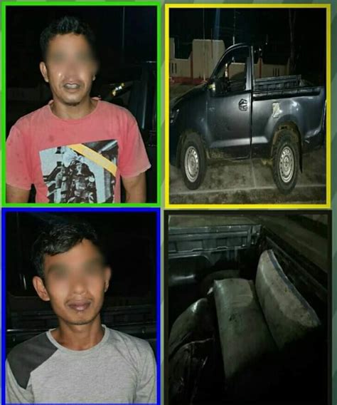 Curi Buah Asam Polisi Tangkap 2 Pria Di Bone 1 Diantaranya Masih Buron Topik Terkini