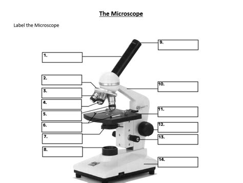 Microscope Labelling And Function Match Up Teaching Resources