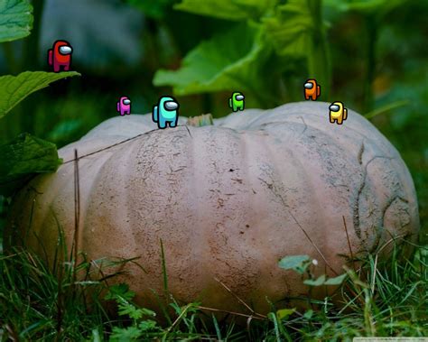 Among Us Astronaut Pumpkin 4k Uhd Wallpaper For Ultrahd Desktop And Tv