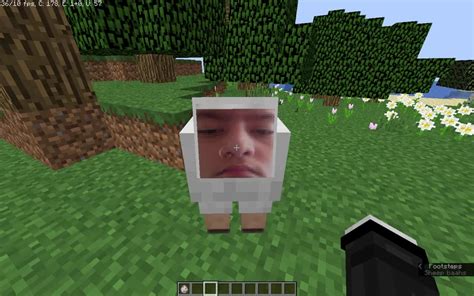 Sheeps Now Have Human Faces Minecraft Texture Pack