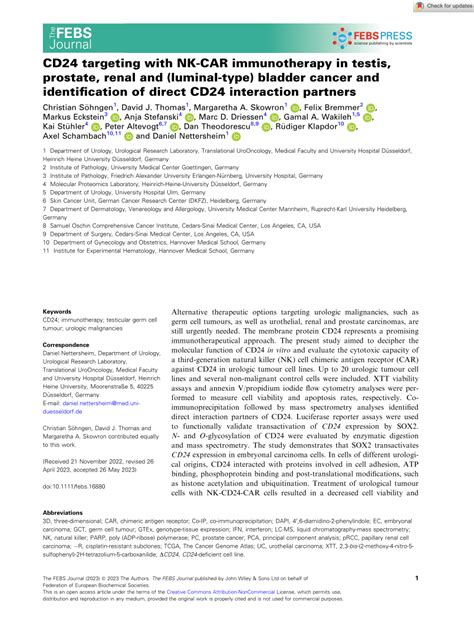 Pdf Cd24 Targeting With Nk Car Immunotherapy In Testis Prostate