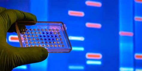 What Are Dna Markers A Simple Guide For At Home Dna Testing Alphabiolabs Usa