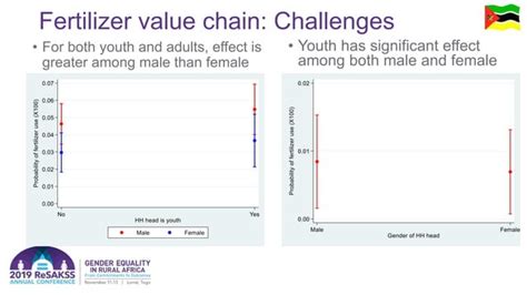 Dynamics Of Fertilizer Value Chain In Mozambique Ppt