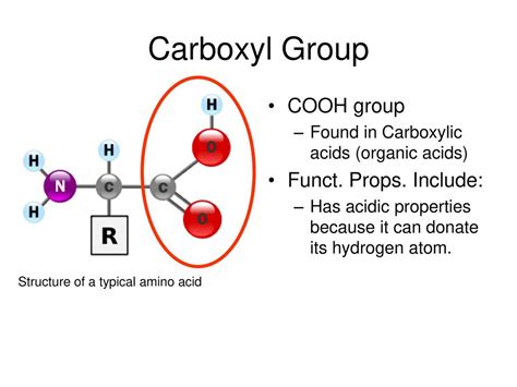 The Study Of Carbon Containing Compounds Ppt Download