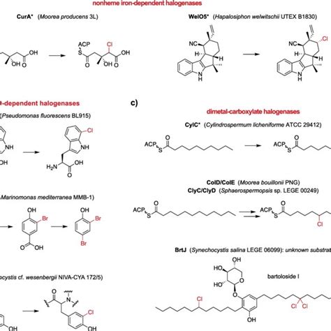 Selected Examples Of Halogenation Reactions Catalyzed By Different