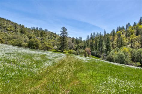 Guinn Ranch For Sale In Long Barn Ca Tuolumne County Farm And Ranch