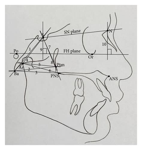 Linear Parameters 1 S Ba The Linear Distance Between S And Ba 2